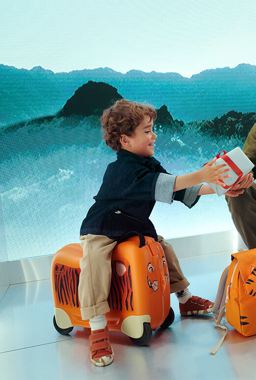 Samsonite Quality Luggage: Buy now | Samsonite Ireland